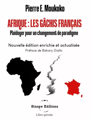 Afrique: Les gâchis français
