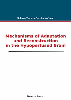 Mechanisms of Adaptation and Reconstruction in the Hypoperfused Brain