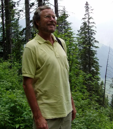 Macht des Geschlechts